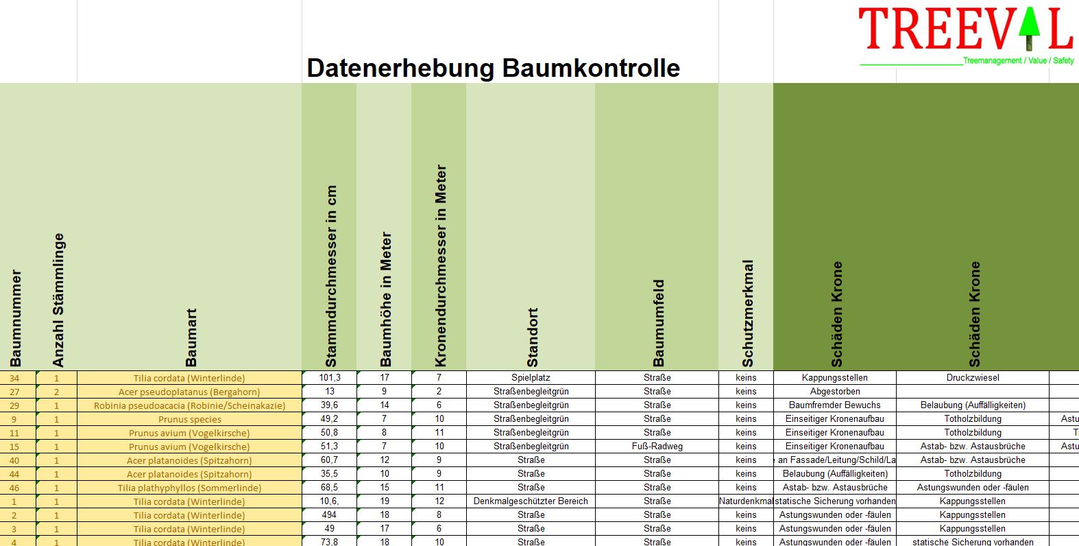 Baumkontrollen / Kataster - treeval