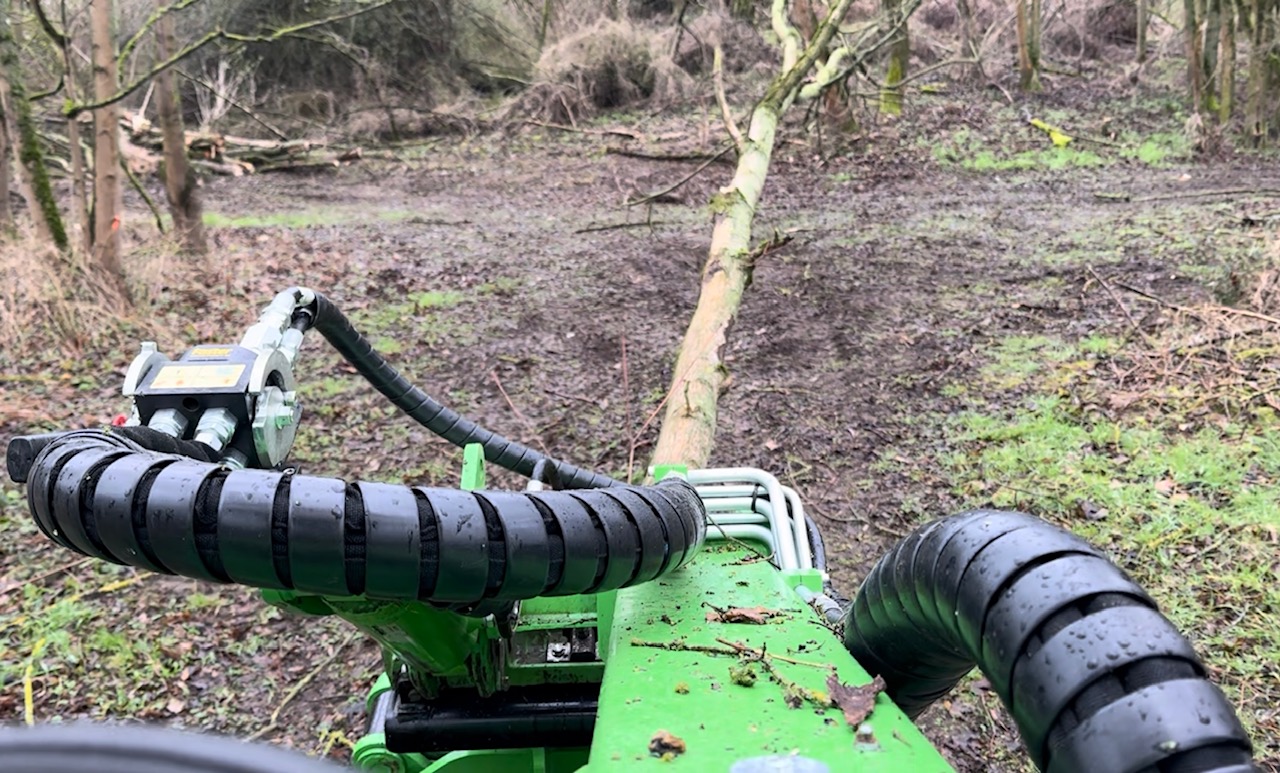 Baumpflege - treeval