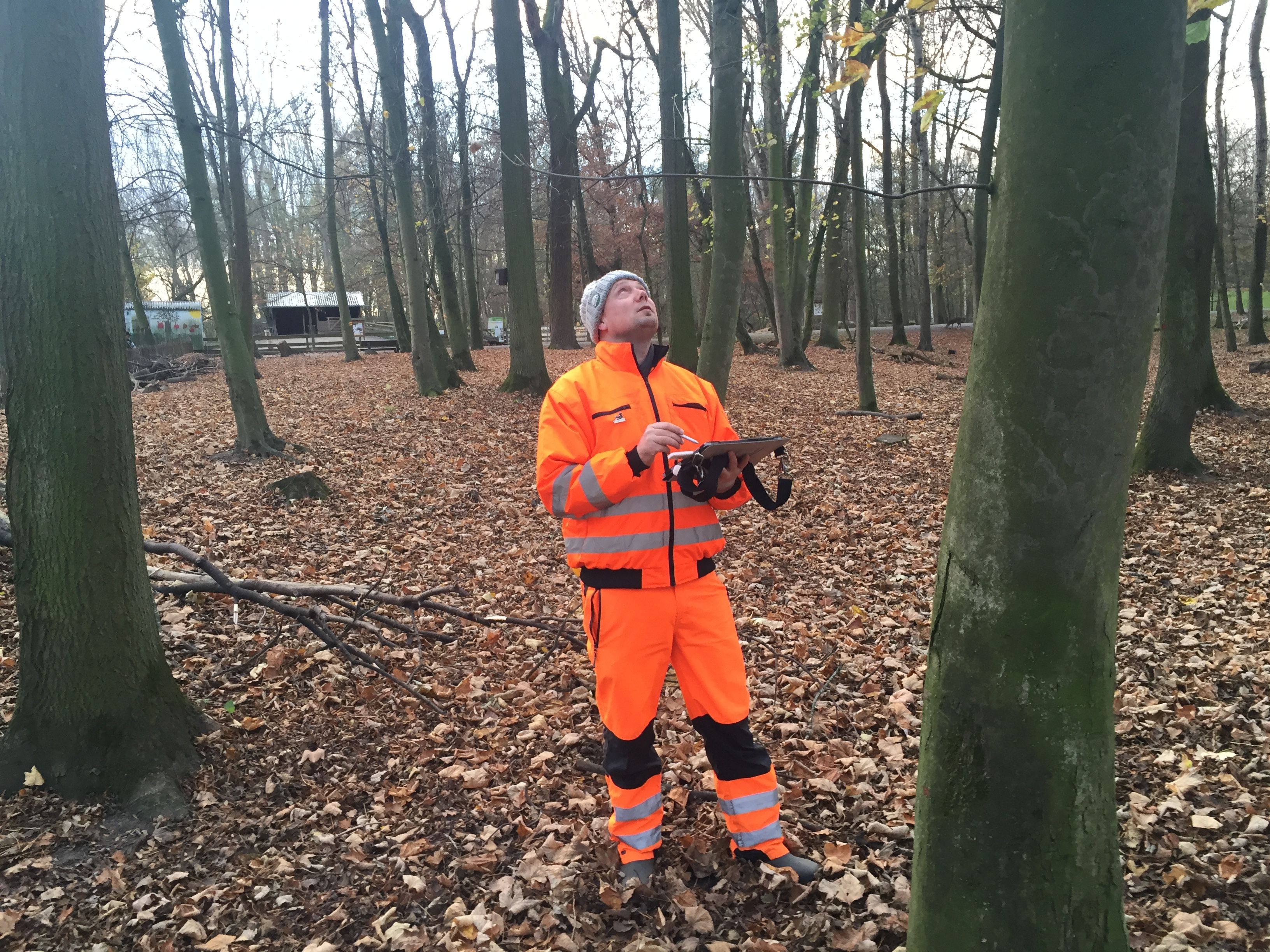 Baumkontrollen / Kataster - treeval